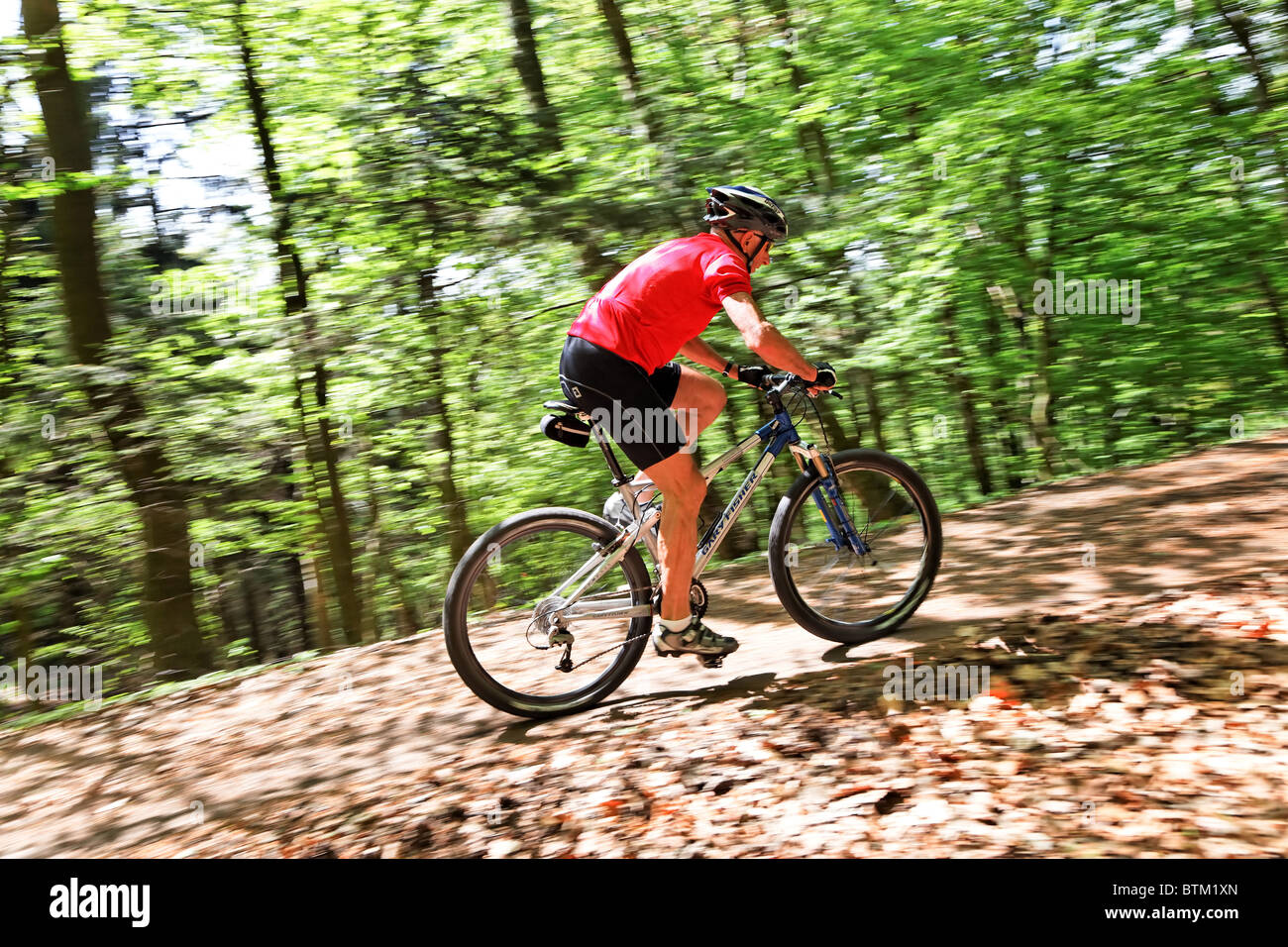 sporty senior with mountain bike in the woods Stock Photo - Alamy