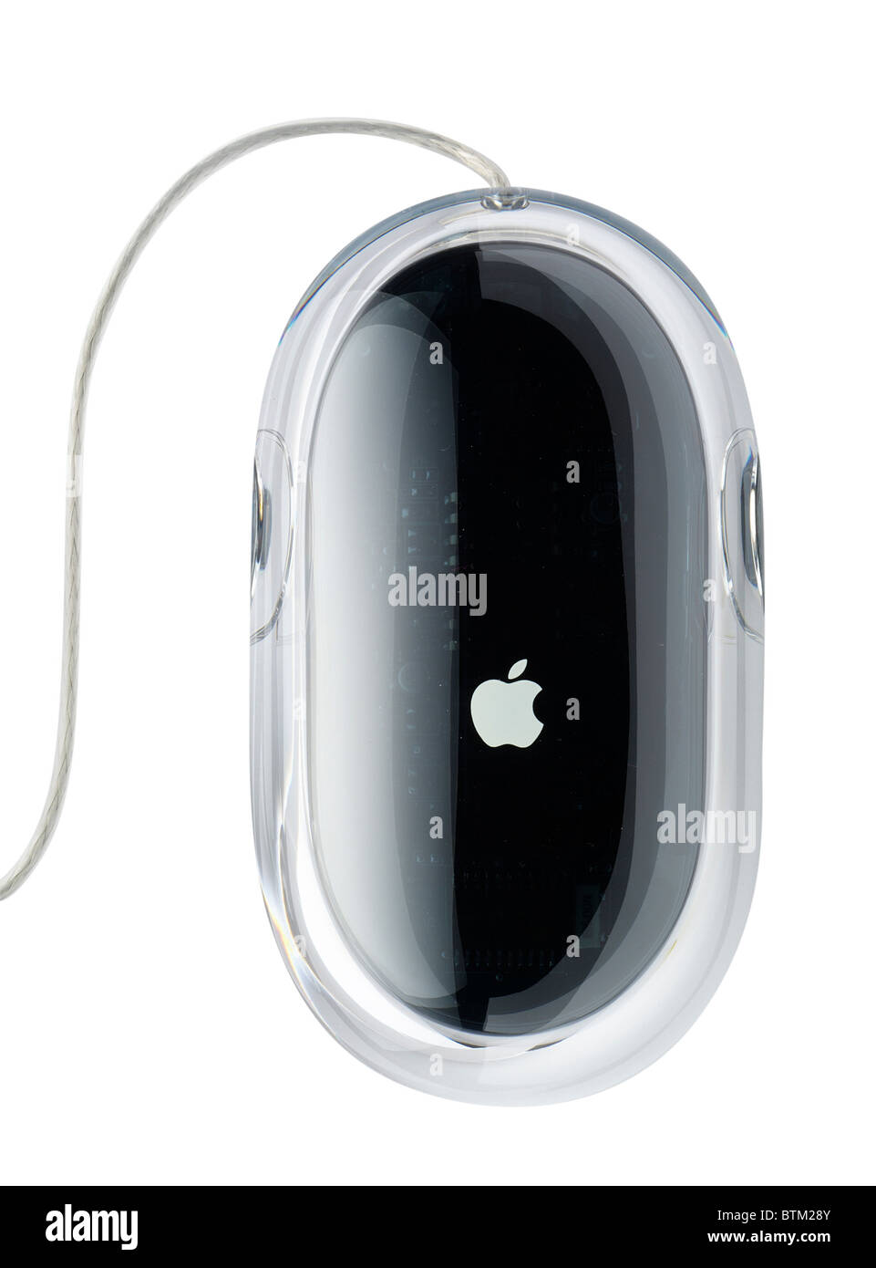 Apple Mouse Vector