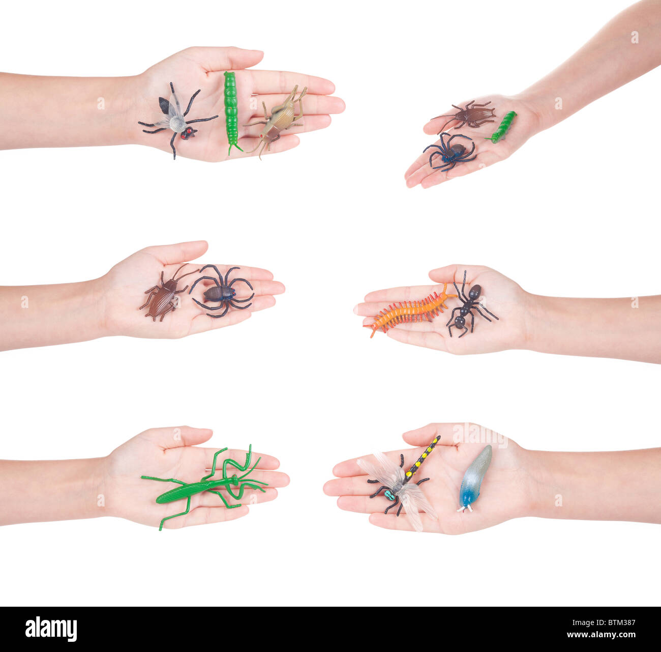 Scary insect insects hi-res stock photography and images - Alamy