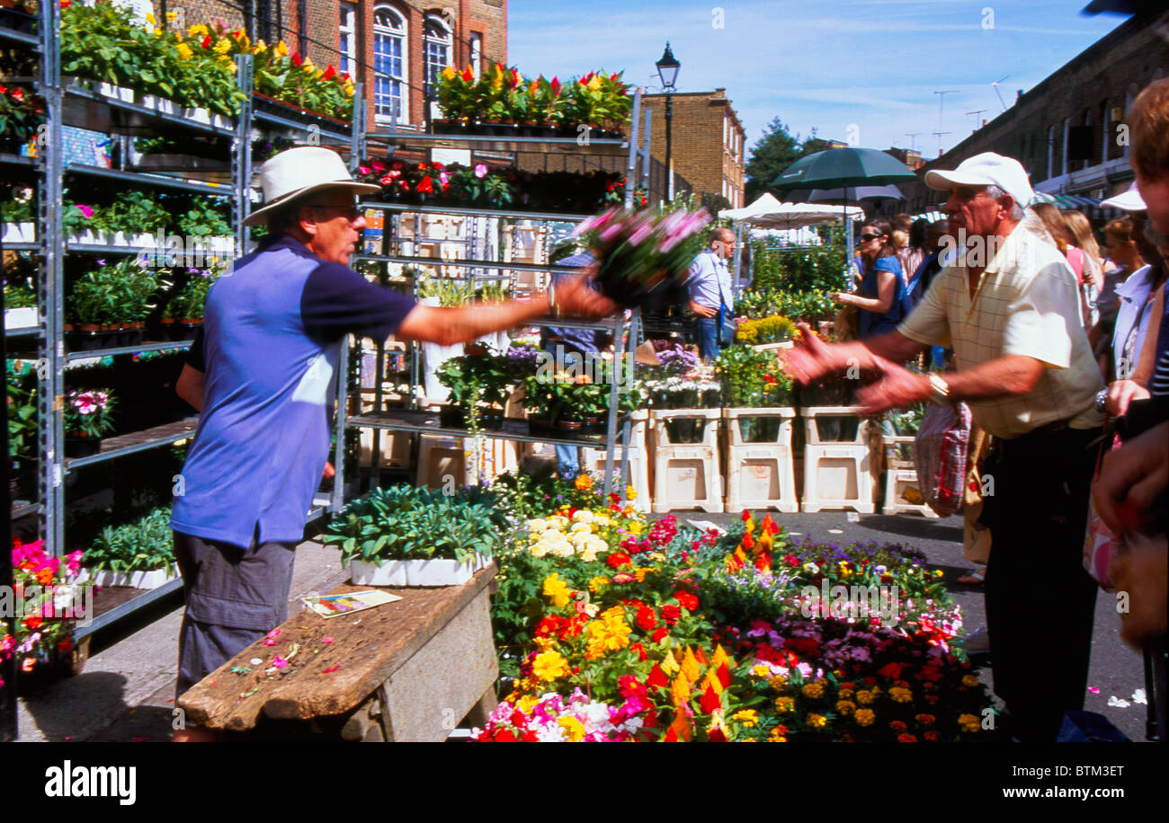 A stallholder at the columbia road flower market hi-res stock ...