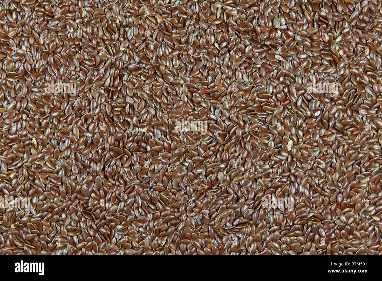 Fatty seeds hi-res stock photography and images - Alamy