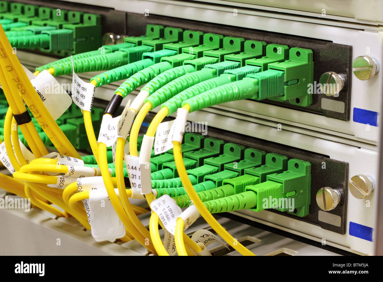 Green singlemode sc connectors connected to patch panel Stock Photo - Alamy