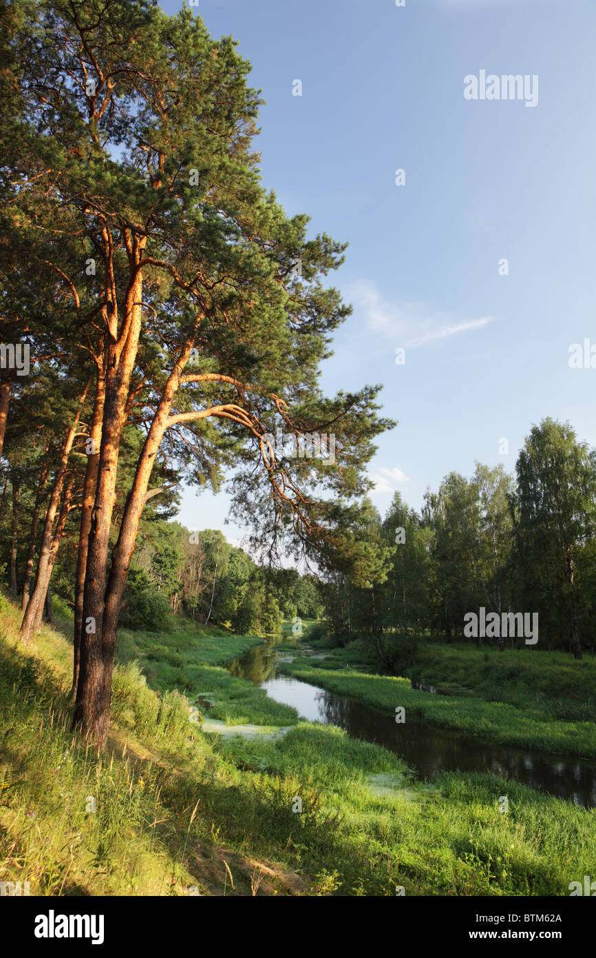 Klyazma river hi-res stock photography and images - Alamy