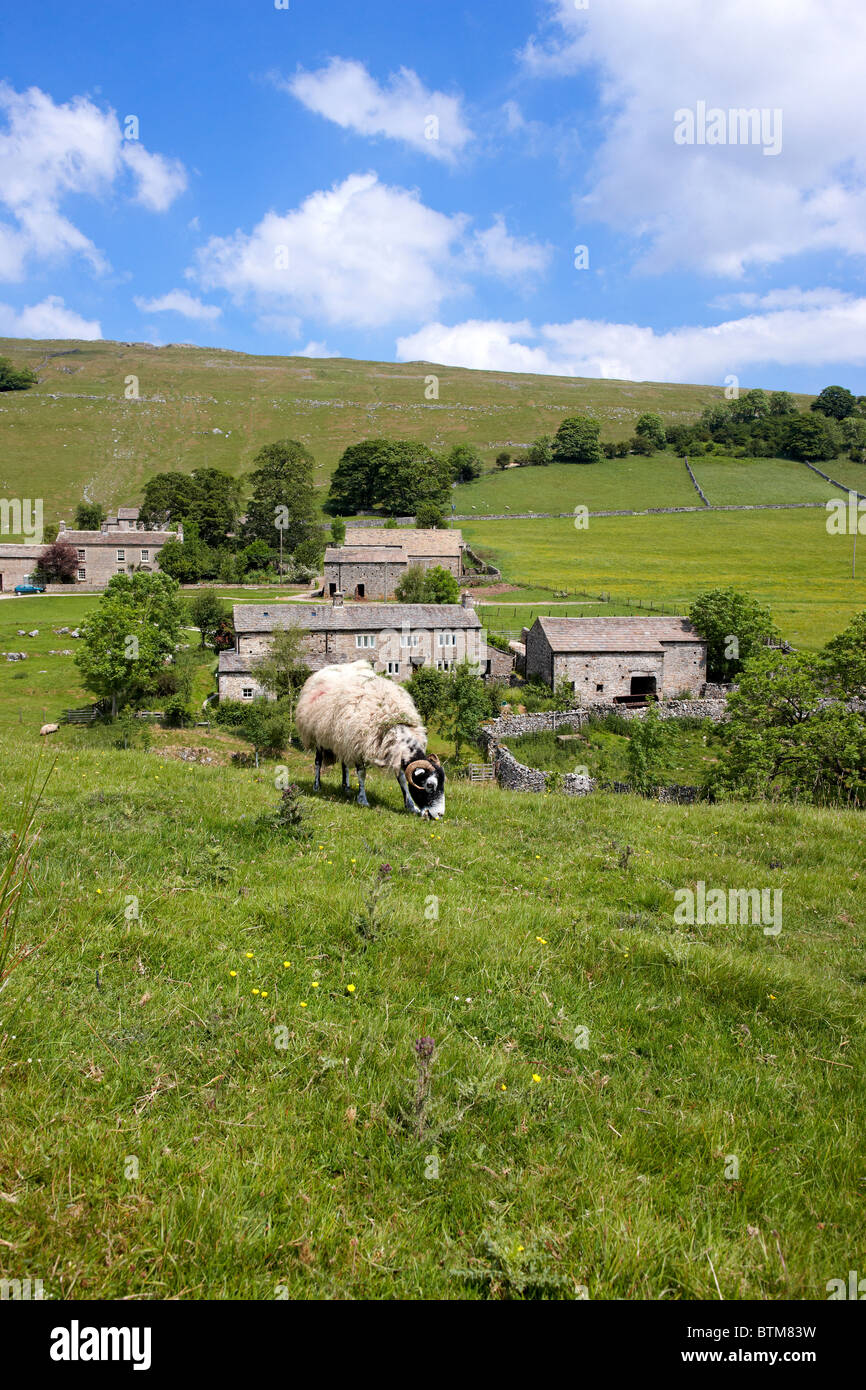 The village of Yockenthwaite, Yorkshire Dales. Summer Stock Photo - Alamy