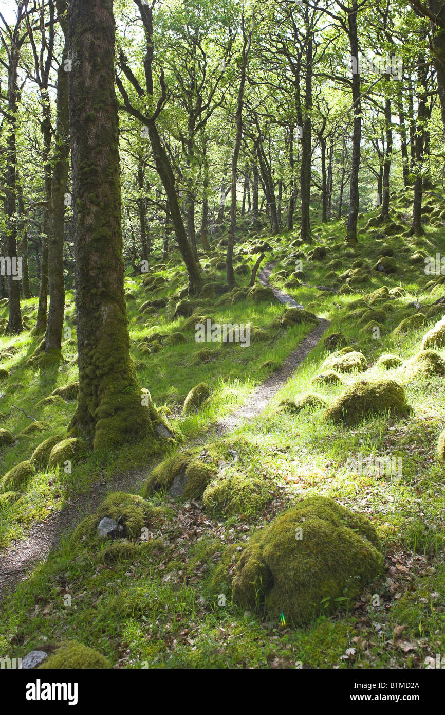 Ant hills hi-res stock photography and images - Alamy