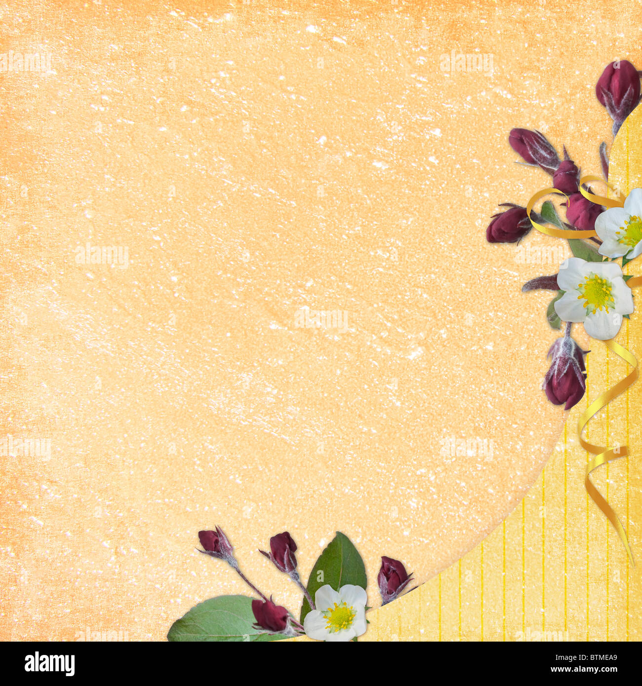 Background for congratulation card Stock Photo - Alamy