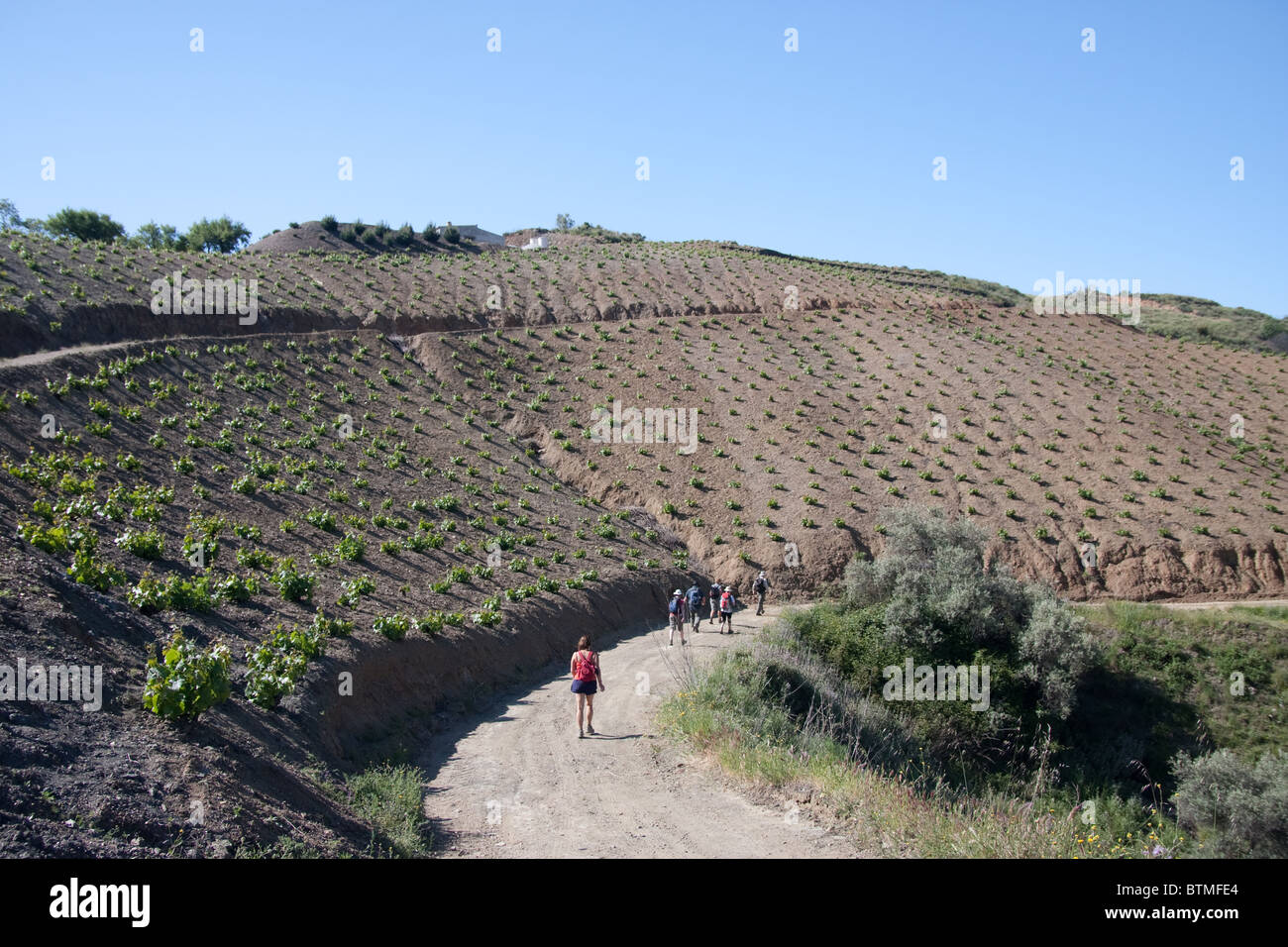This is an image of people walking in Andalucía, Spain Stock Photo - Alamy