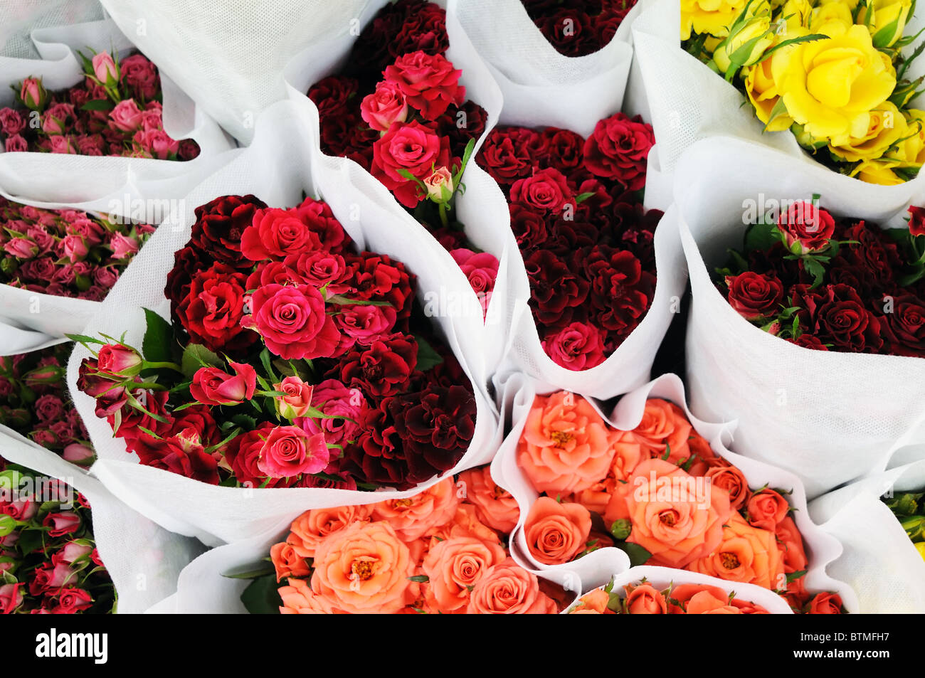Bunches of roses Stock Photo - Alamy