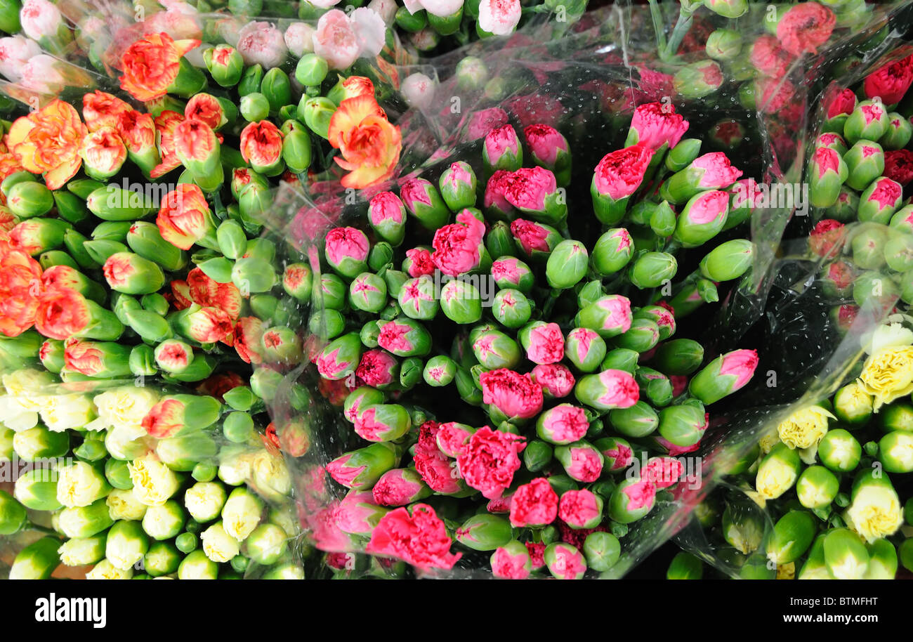 Bunches of roses Stock Photo - Alamy