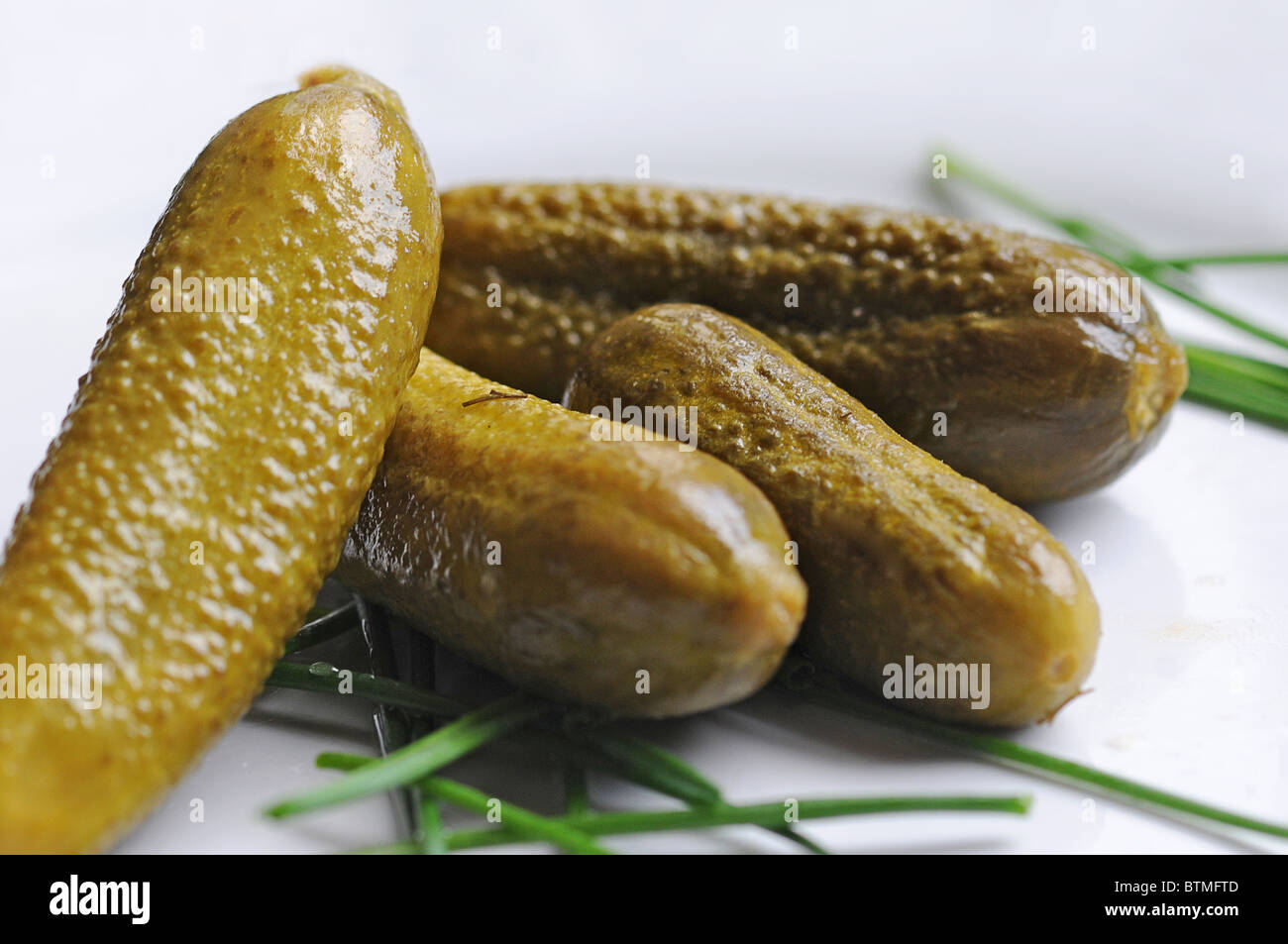 Cucumber gherkin cornichon hi-res stock photography and images - Alamy