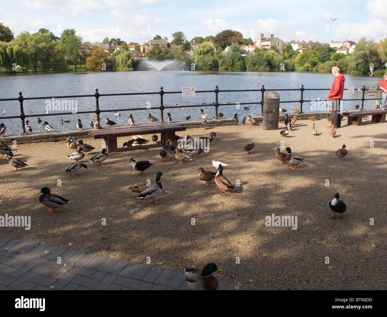 Diss mere in norfolk hi-res stock photography and images - Alamy