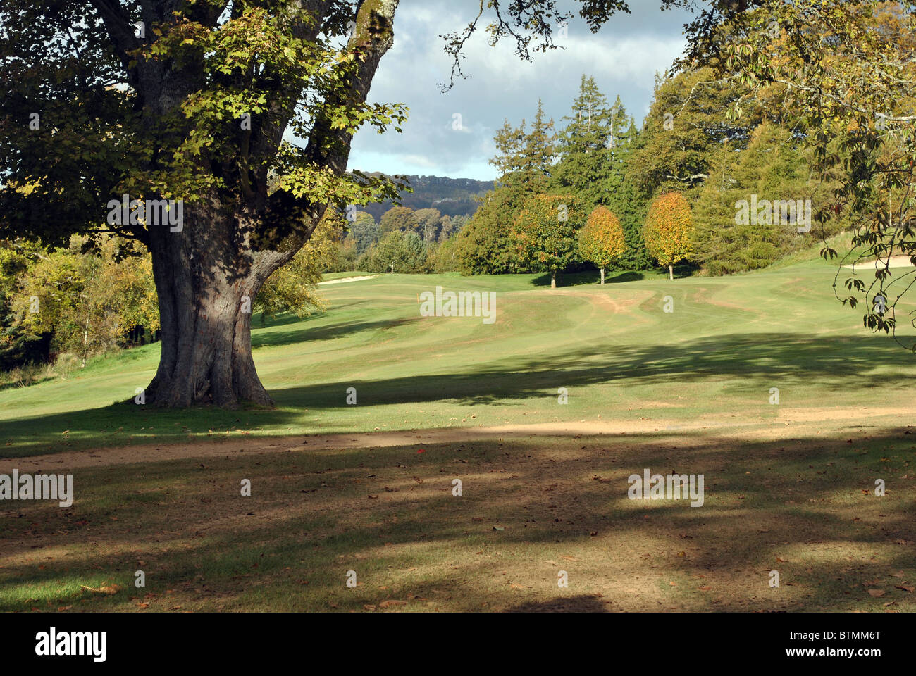 shadows on a golf course Stock Photo - Alamy