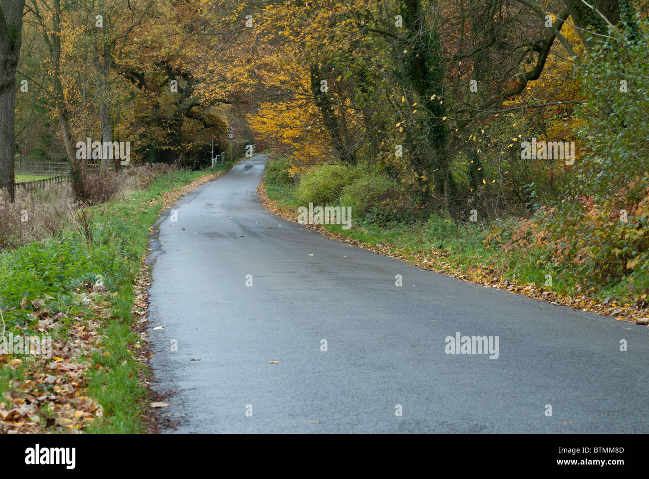 Country Lane, England, UK Stock Photo - Alamy