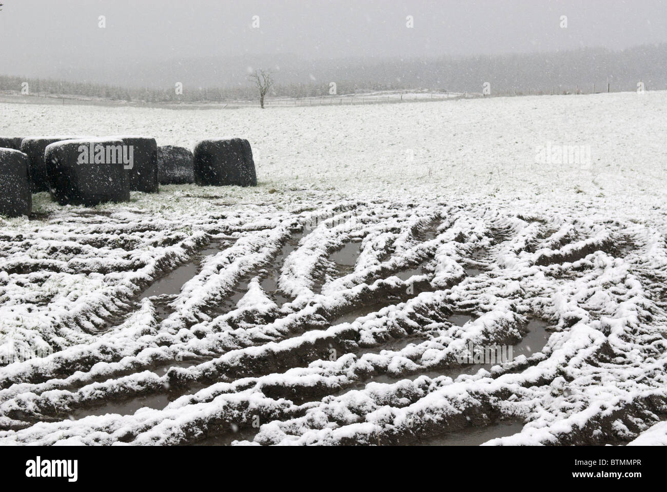 Snow covered farmers field hi-res stock photography and images - Alamy