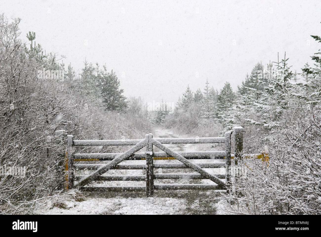 Entrance gate snow hi-res stock photography and images - Alamy
