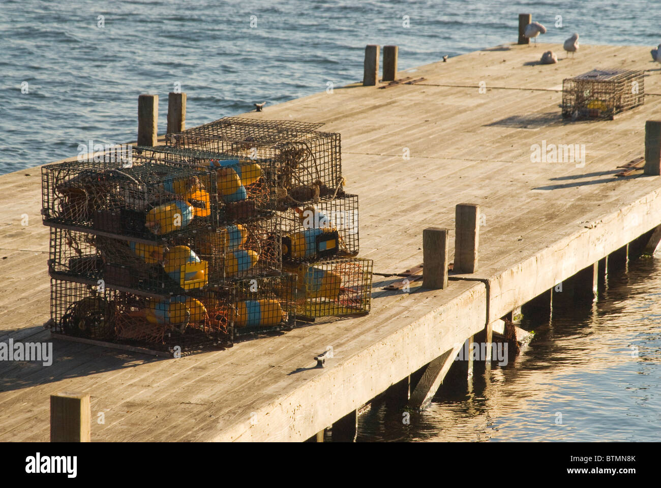 Lobster traps sitting on wooden boat dock, morning, Bar Harbor, Maine ...