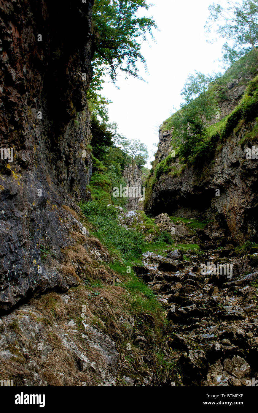 Troller's Gill is ravine at the head of Trollerdale near Skyreholme and ...