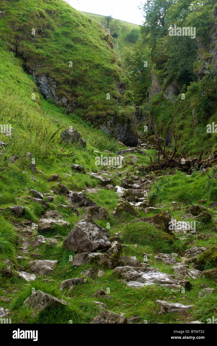 Troller's Gill is ravine at the head of Trollerdale near Skyreholme and ...