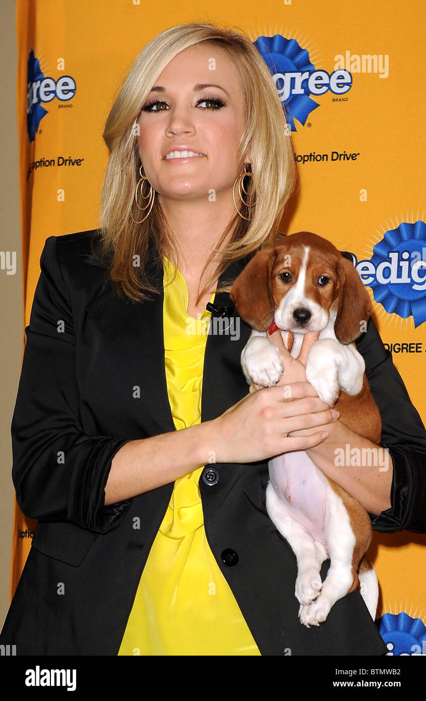 Adoption drive hi-res stock photography and images - Alamy