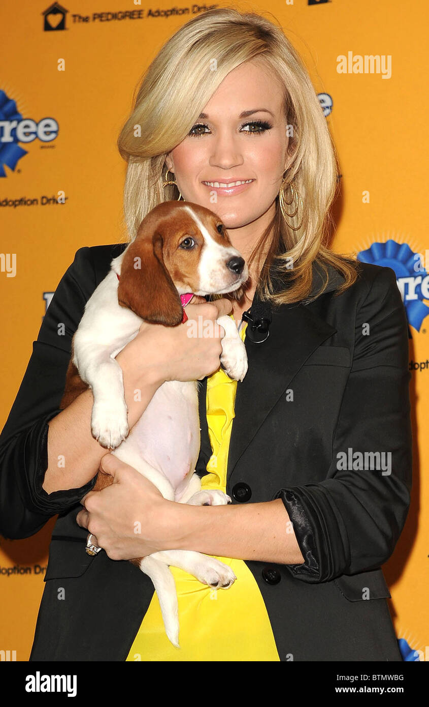 6th Annual Pedigree Adoption Drive Stock Photo - Alamy