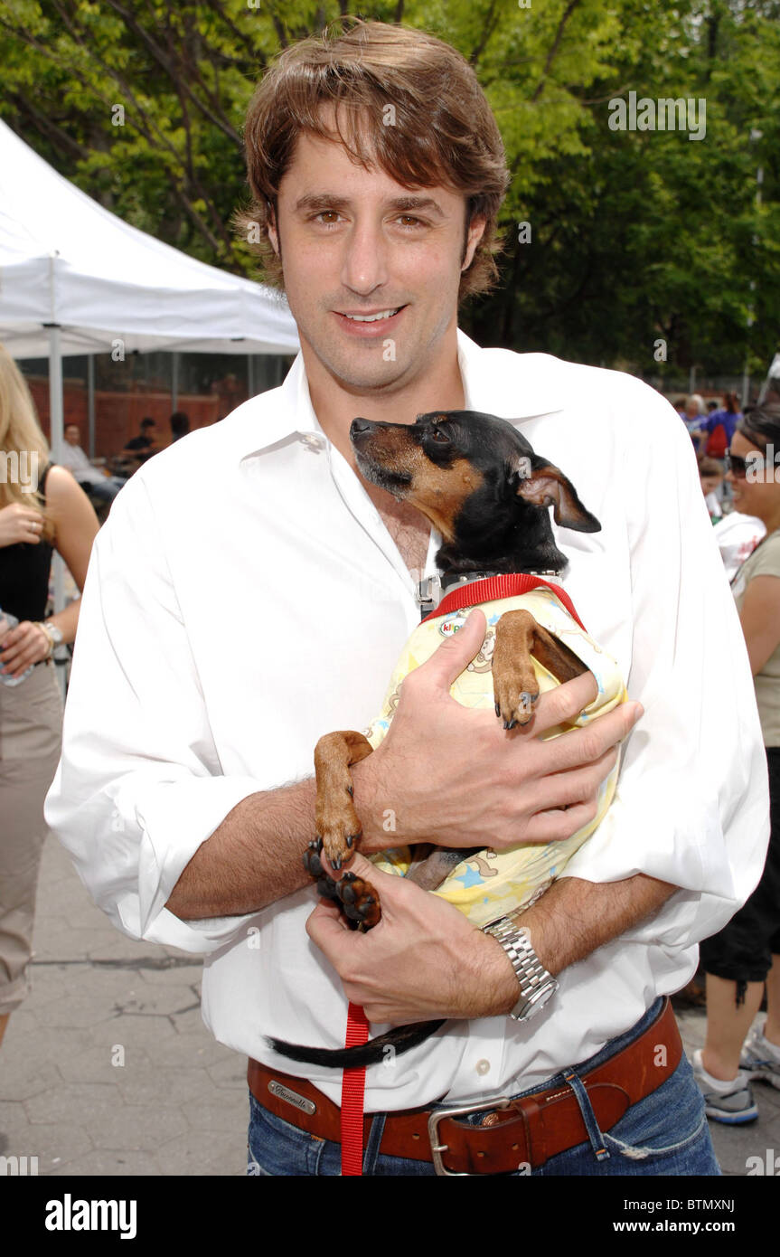 Mayor's Alliance for NYC's Animals Adoptapalooza Stock Photo - Alamy