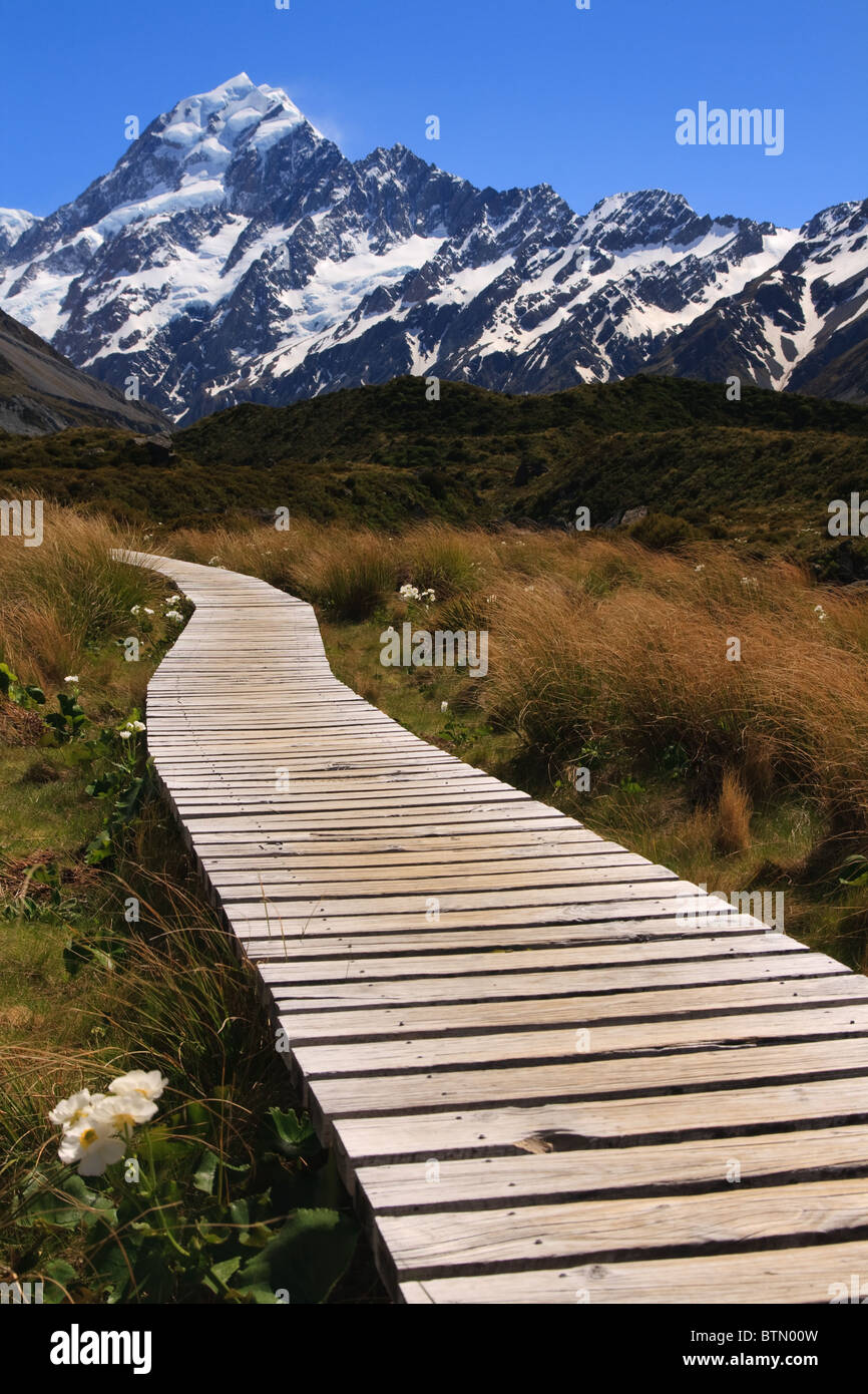 Wooden walkway leading to Mt Cook, New Zealand Stock Photo - Alamy