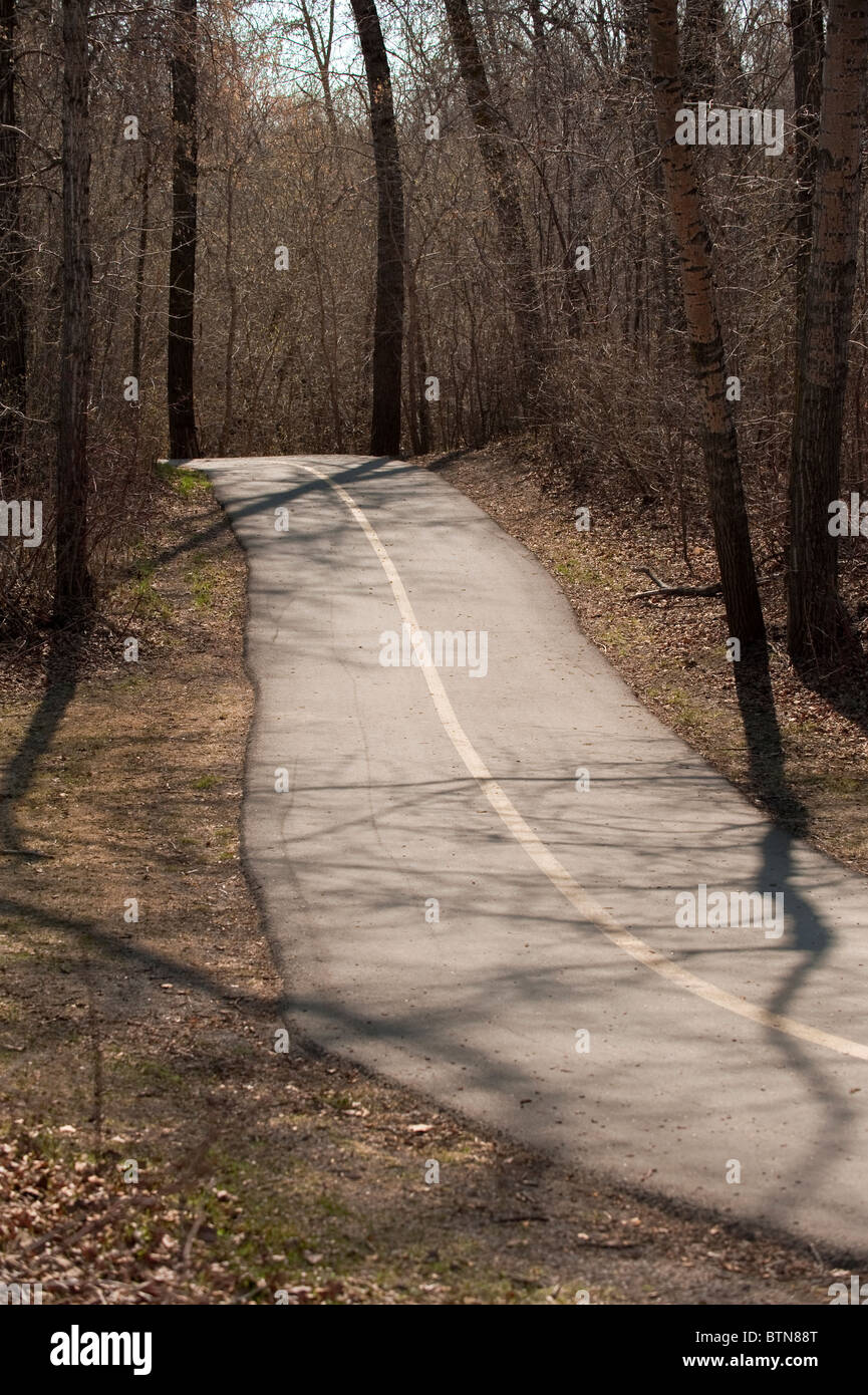 A paved walking or bike path in treed area Stock Photo - Alamy