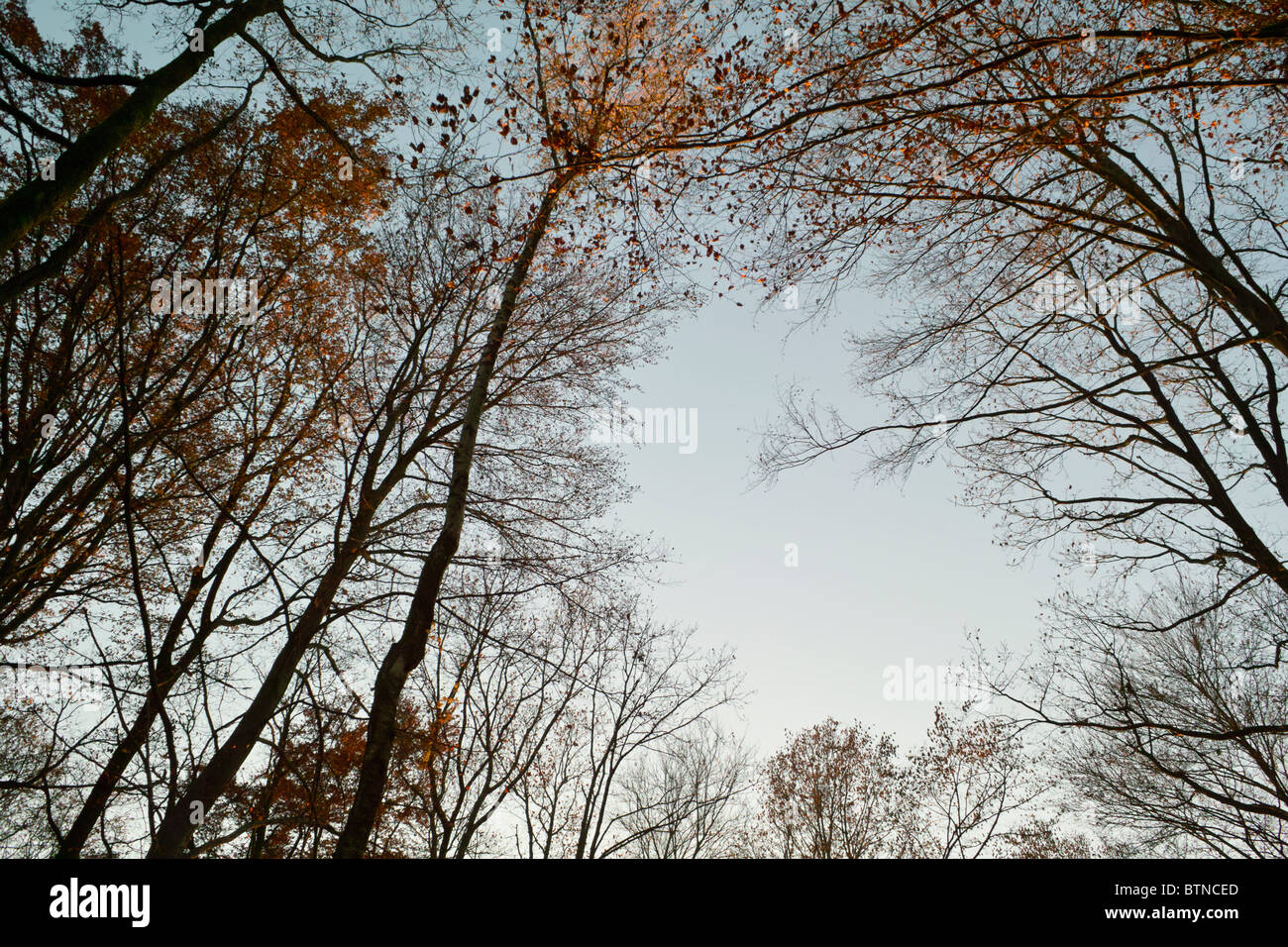 During an evening hi-res stock photography and images - Alamy