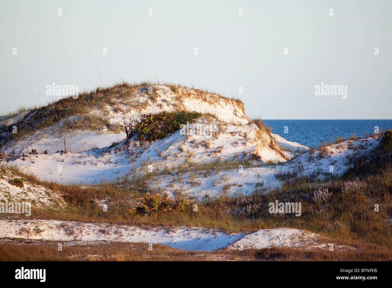 Deer lake state park florida hi-res stock photography and images - Alamy