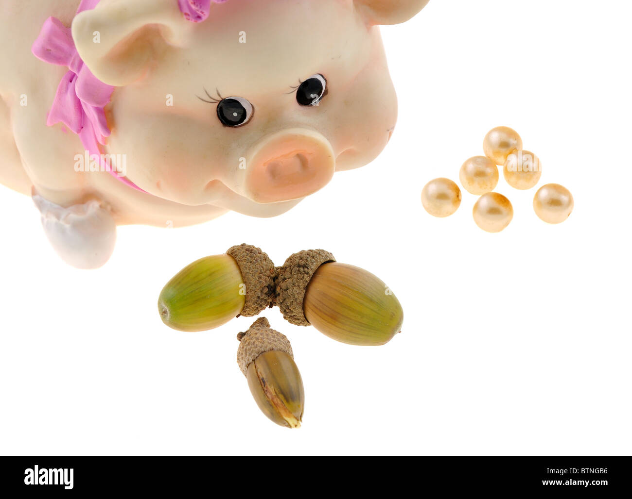Pig make choice between perls and acorns Stock Photo - Alamy