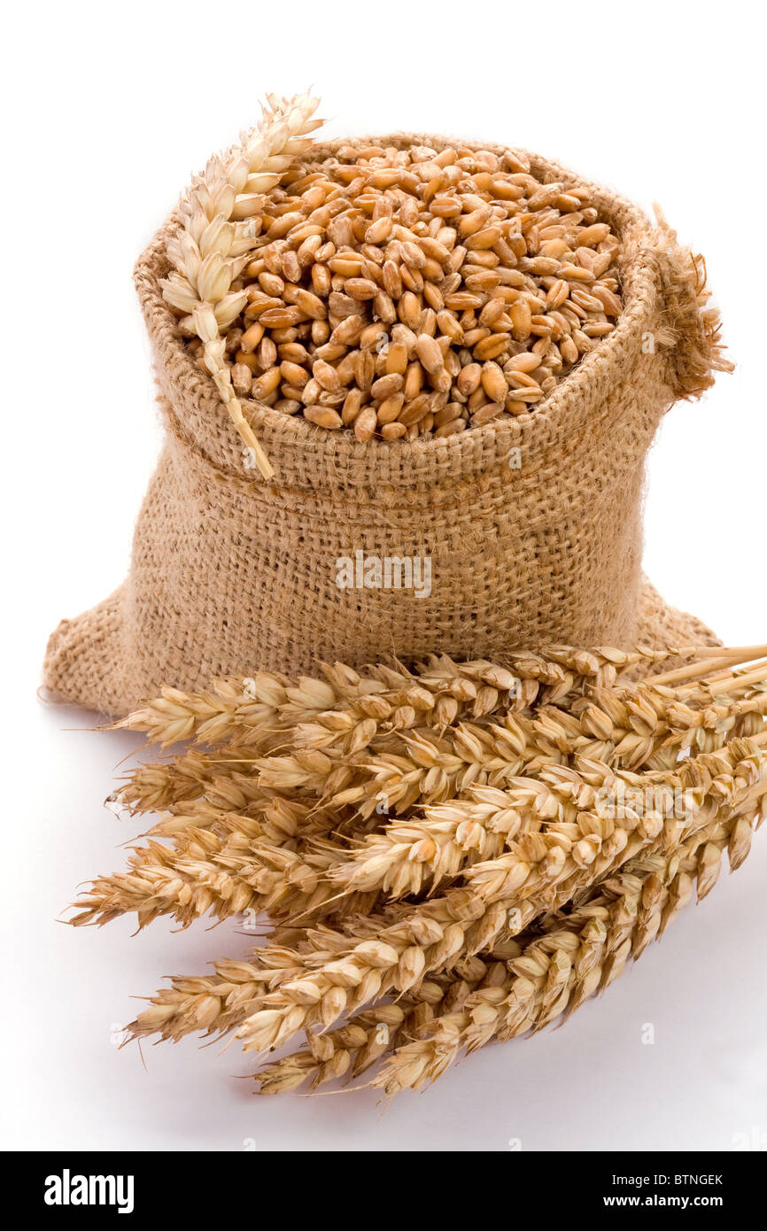 Wheat in burlap sack on white background Stock Photo - Alamy