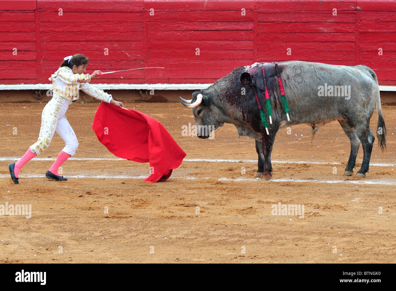 Mexican Bull Fighter High Resolution Stock Photography and Images - Alamy