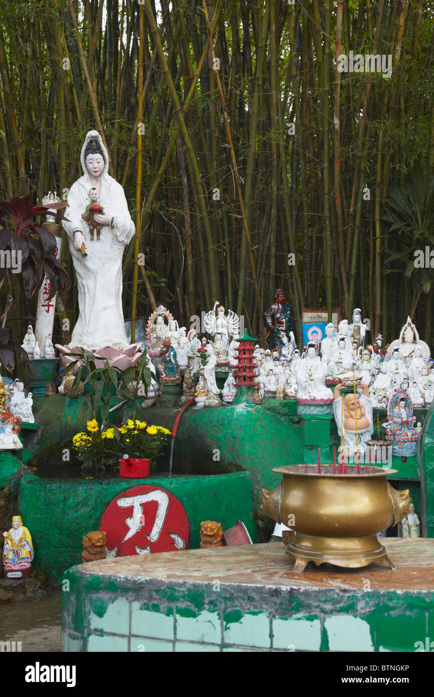 Buddhist shrine in bamboo forest, Quarry Bay, Hong Kong, China Stock ...