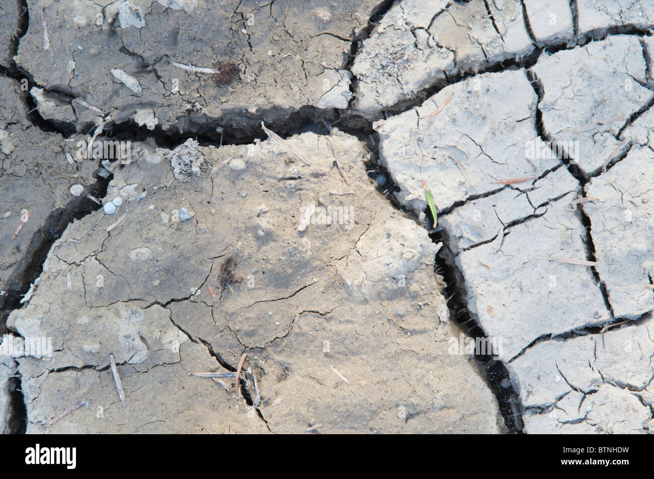 Dry cracked earth after a long drought Stock Photo - Alamy