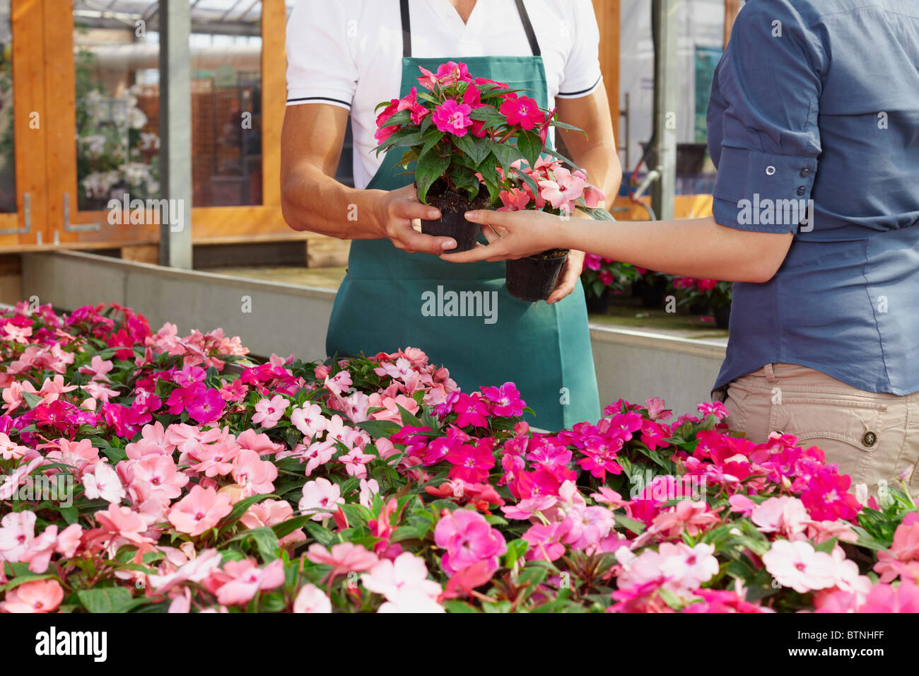 sales clerk in flower shop Stock Photo - Alamy