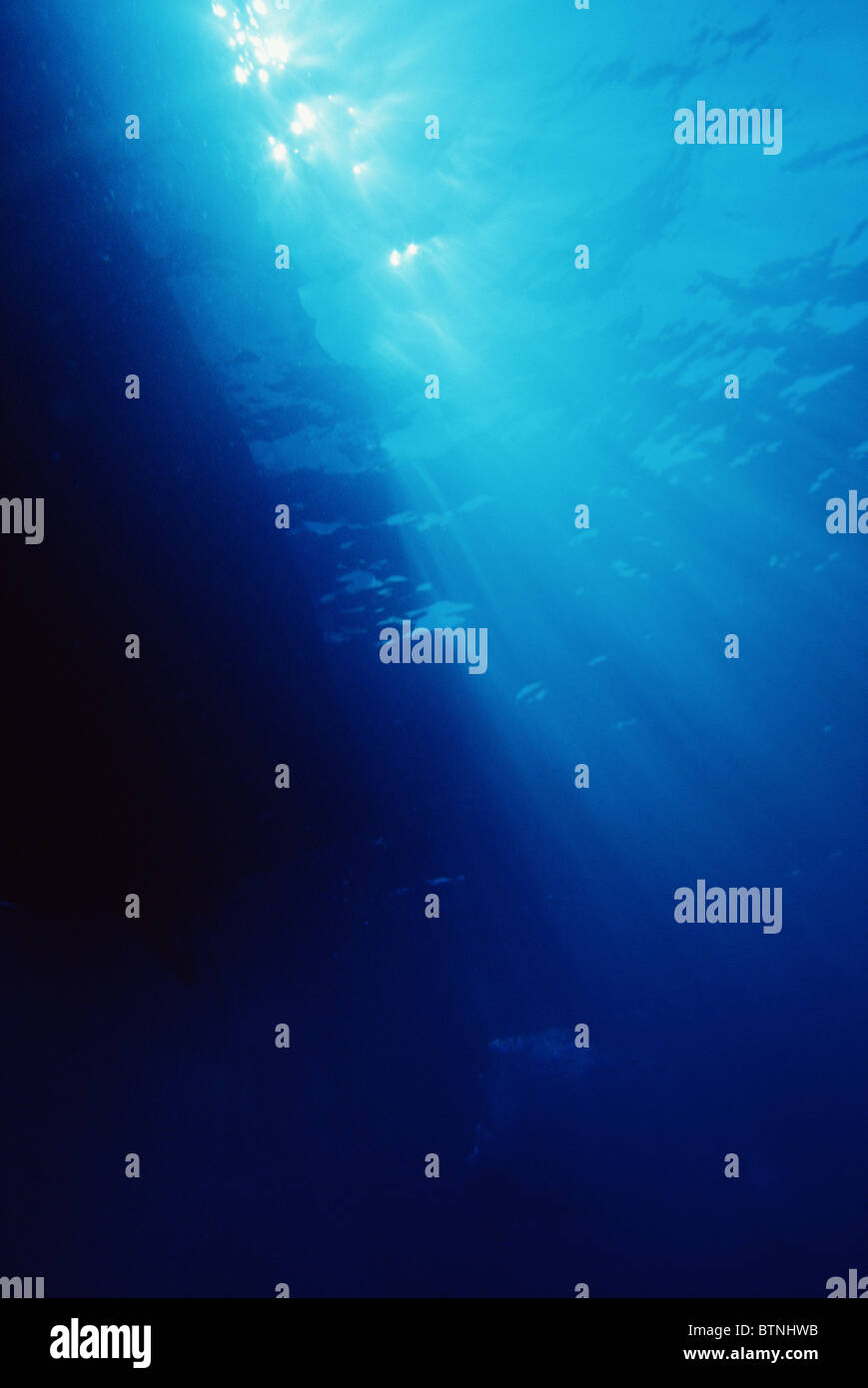 Looking up surface from underwater hi-res stock photography and images ...