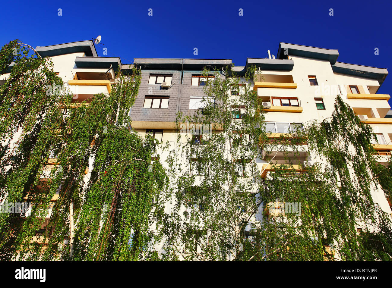 apartment complex with trees infront and blue sky Stock Photo - Alamy
