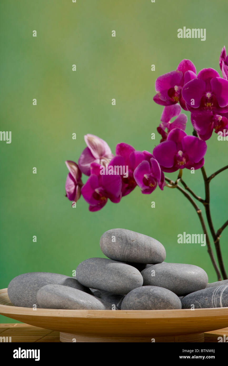 Pink orchid and stones Stock Photo - Alamy
