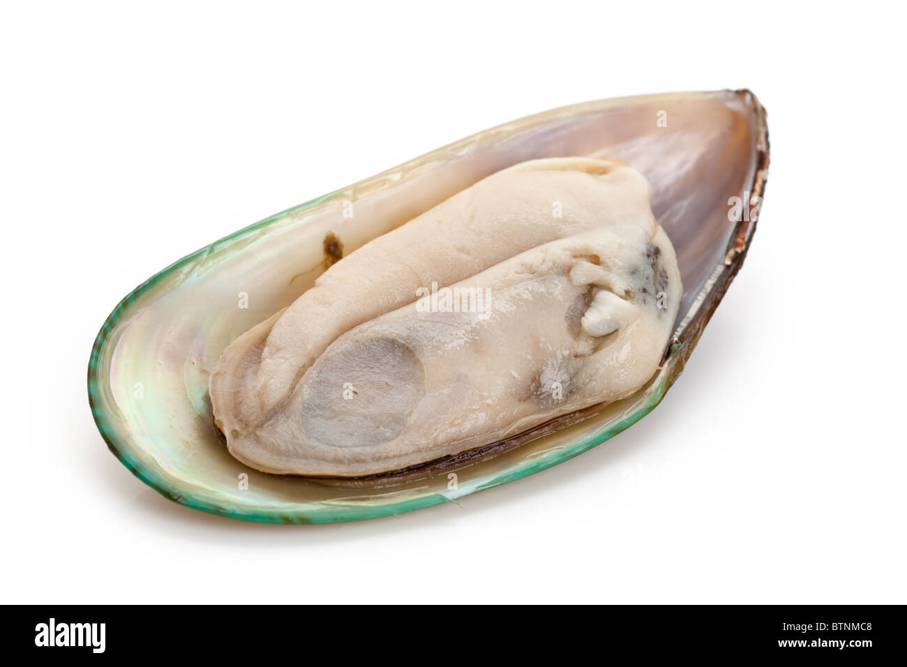 Raw Mussel with white background Stock Photo - Alamy