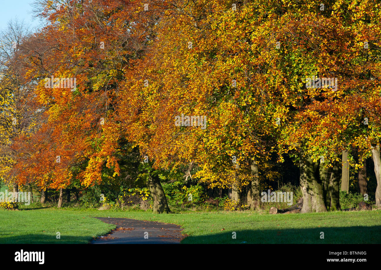 Autumn colors in the North of England Stock Photo - Alamy