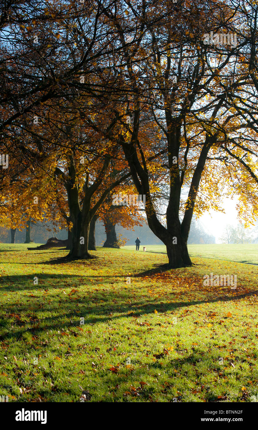 Autumn colors in the North of England Stock Photo - Alamy