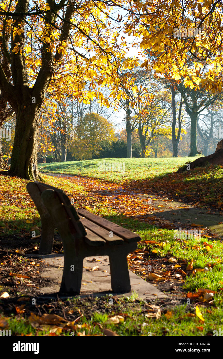 Autumn colors in the North of England Stock Photo - Alamy