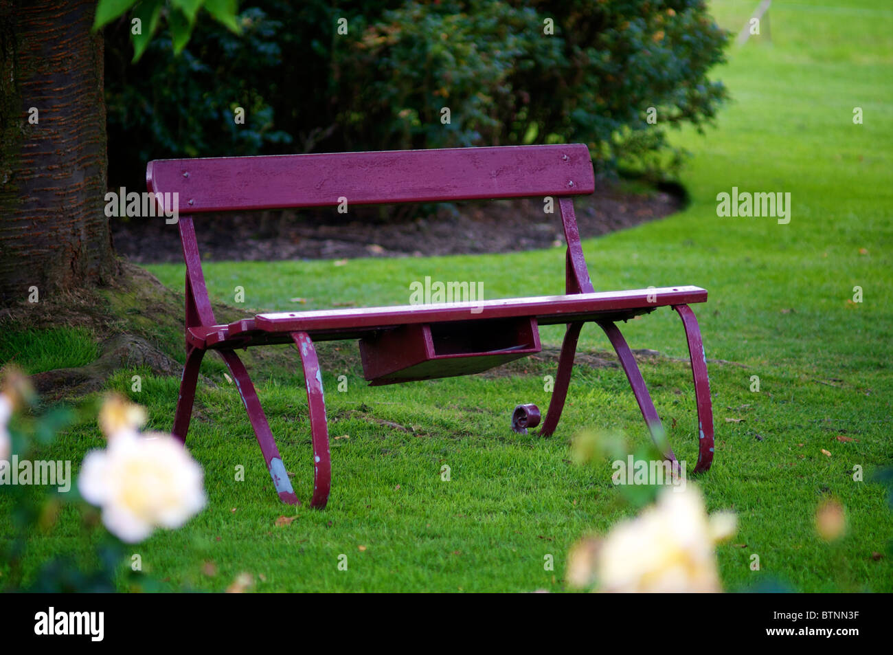 Garden bench on grass lawn Stock Photo - Alamy