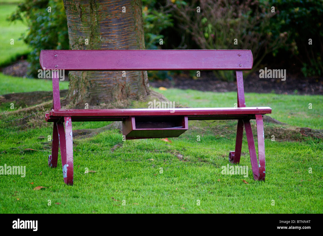 Garden bench on grass lawn Stock Photo - Alamy