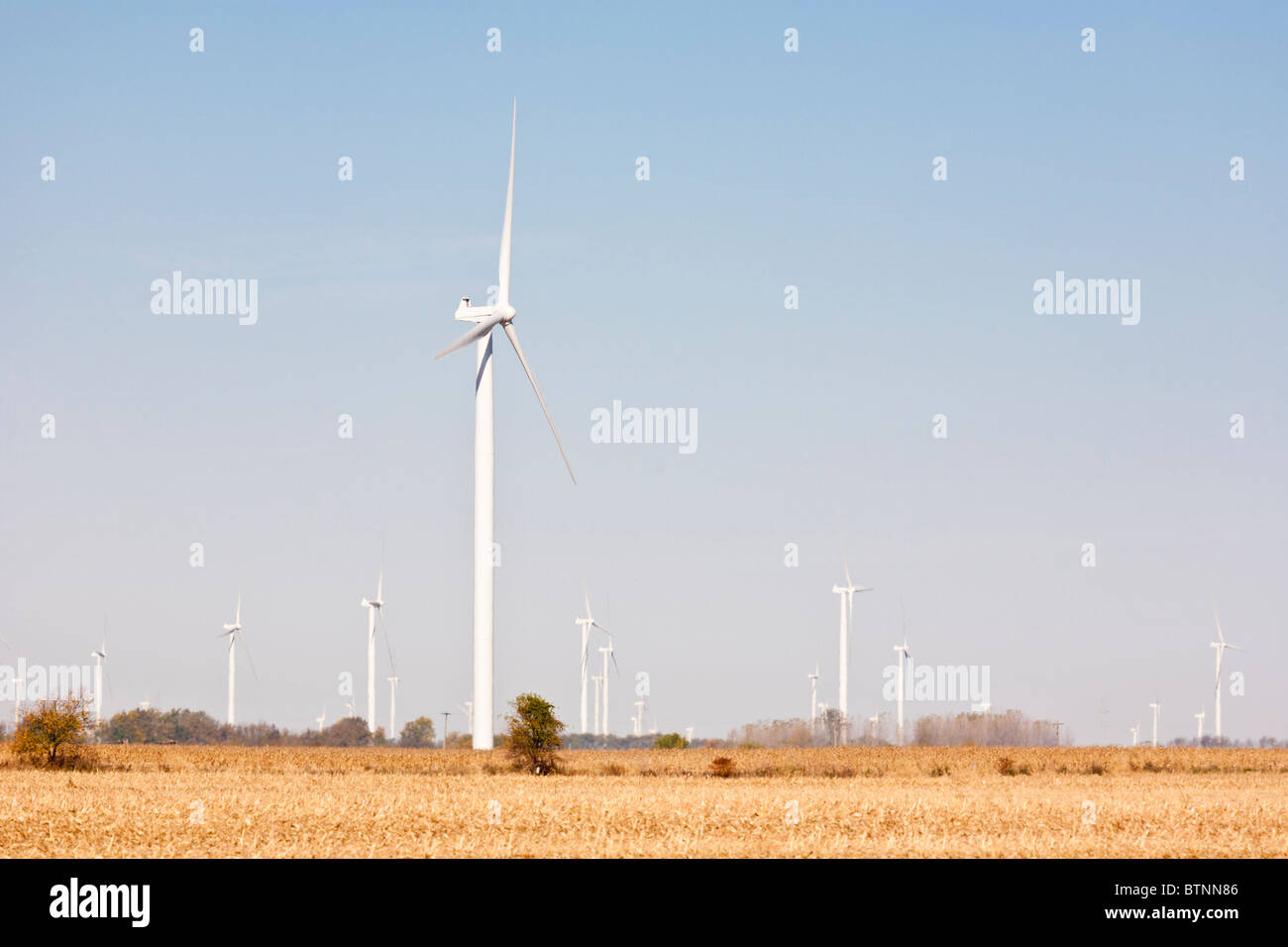 Wind turbines in corn fields near Brookston, Indiana, USA Stock Photo ...
