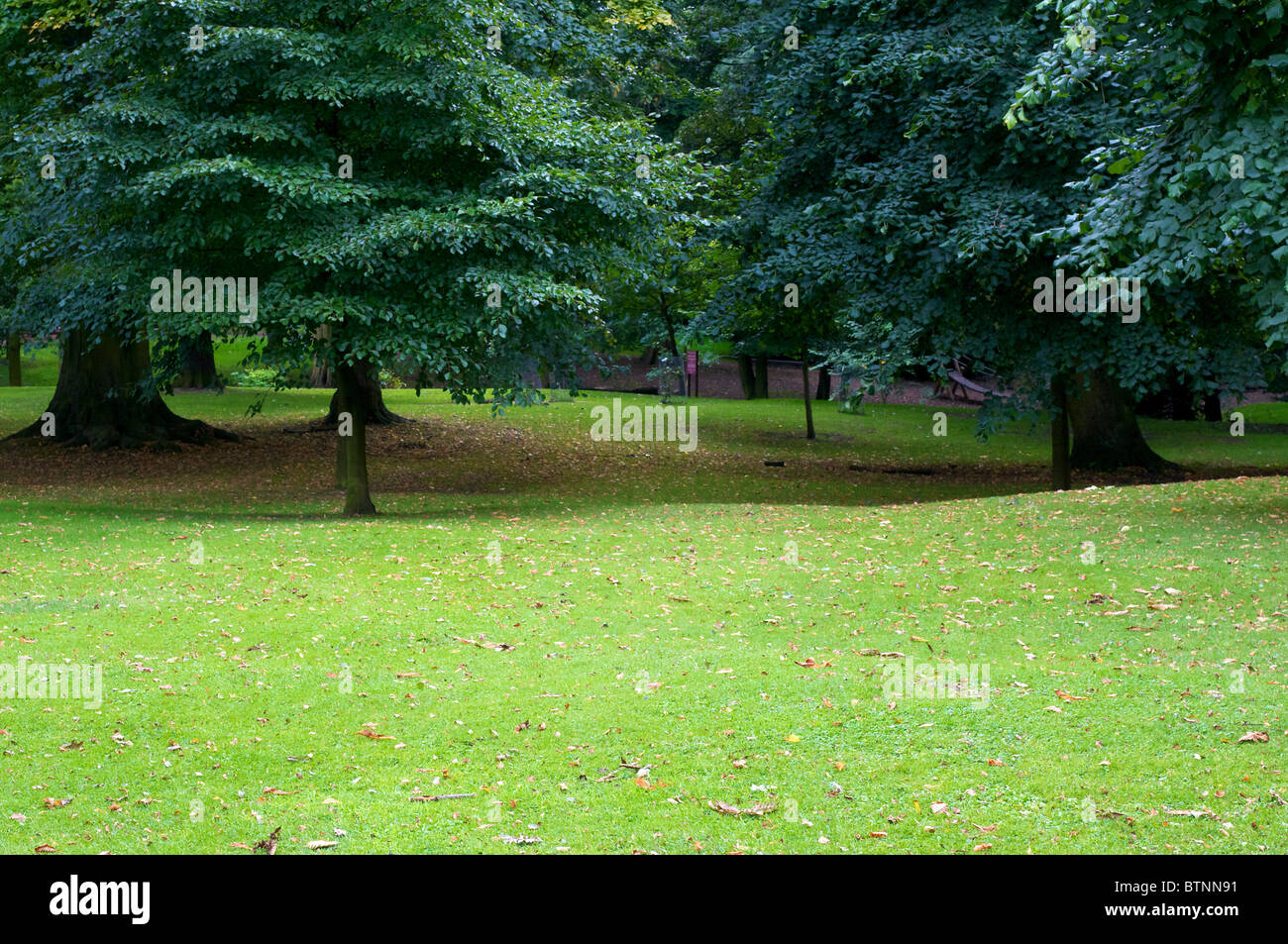 Parkland horizontal hi-res stock photography and images - Alamy