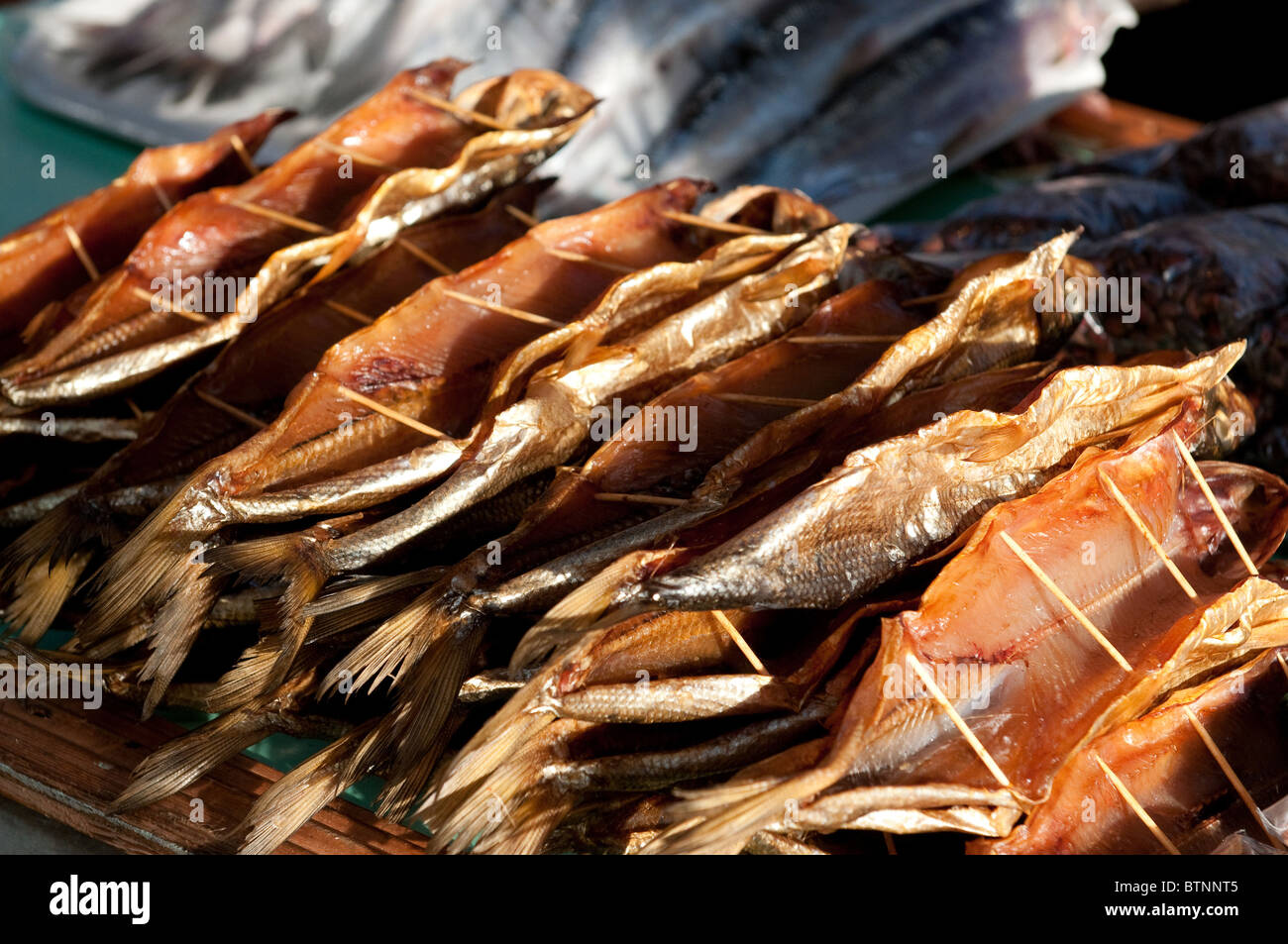 Fish lake baikal hi-res stock photography and images - Alamy