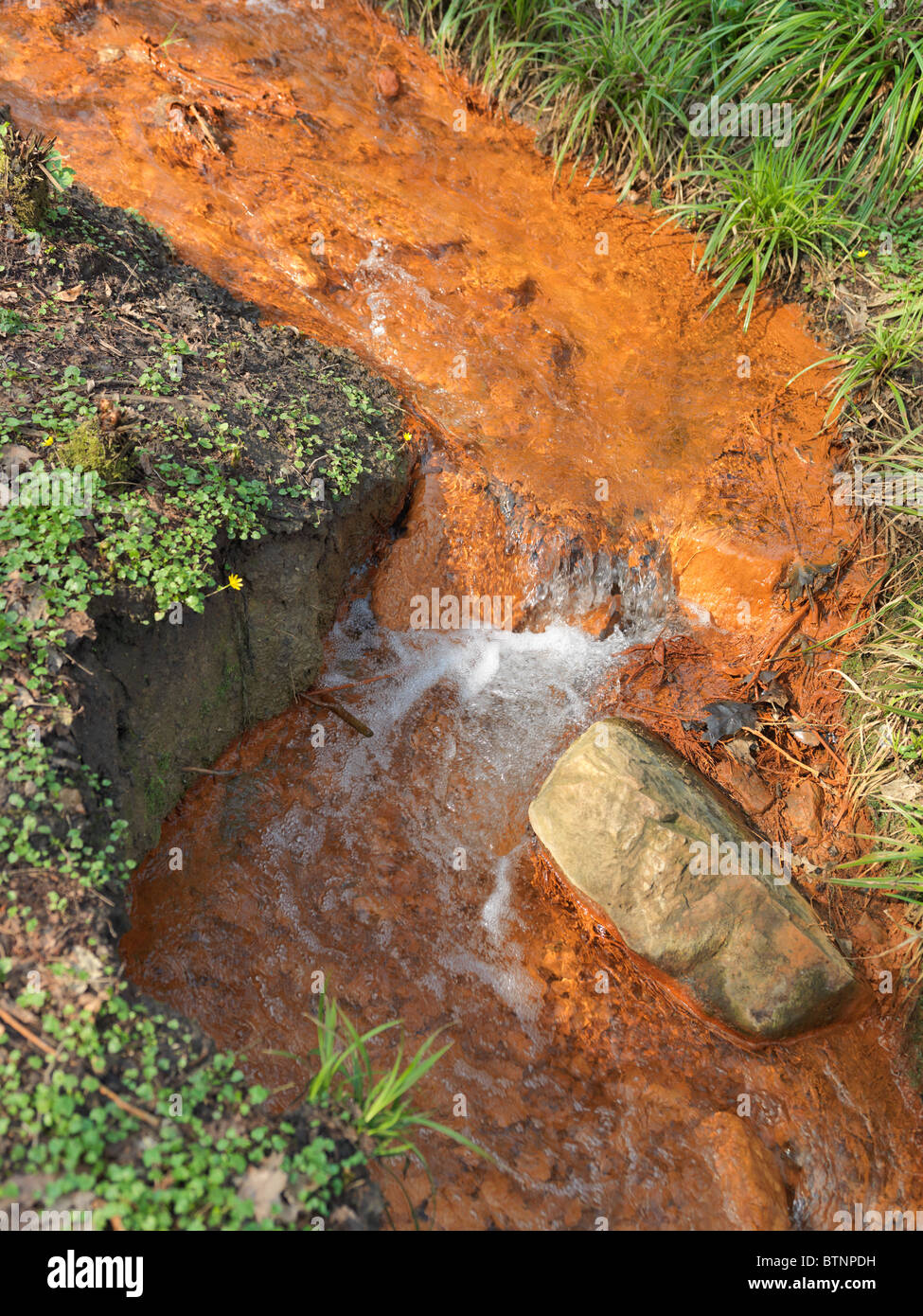 Small, red brook, detail view with high resolution mid format camera ...
