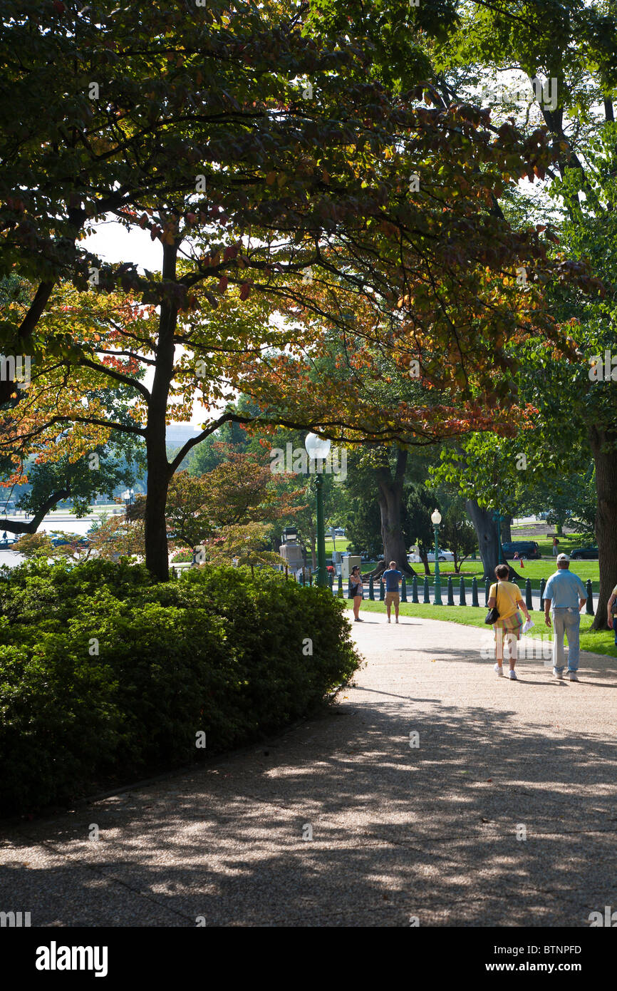 Senior couple walking on walking under fall foliage at the beginning of ...