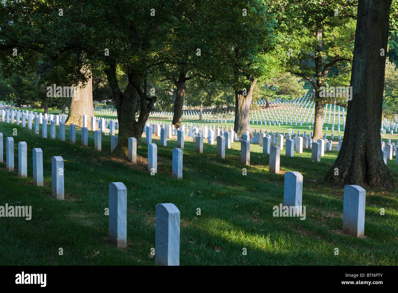 Arlington, VA - Sep 2009 - Rows of headstones in Arlington National ...